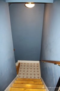 This may literally be the WORST basement you've ever seen!