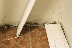 This may literally be the WORST basement you've ever seen!