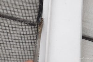 DIY window & door rescreening - "Screenplay" - The Heathered Nest