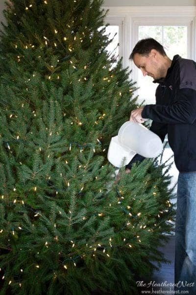 Easy DIY Christmas Tree Watering Funnel - The Heathered Nest