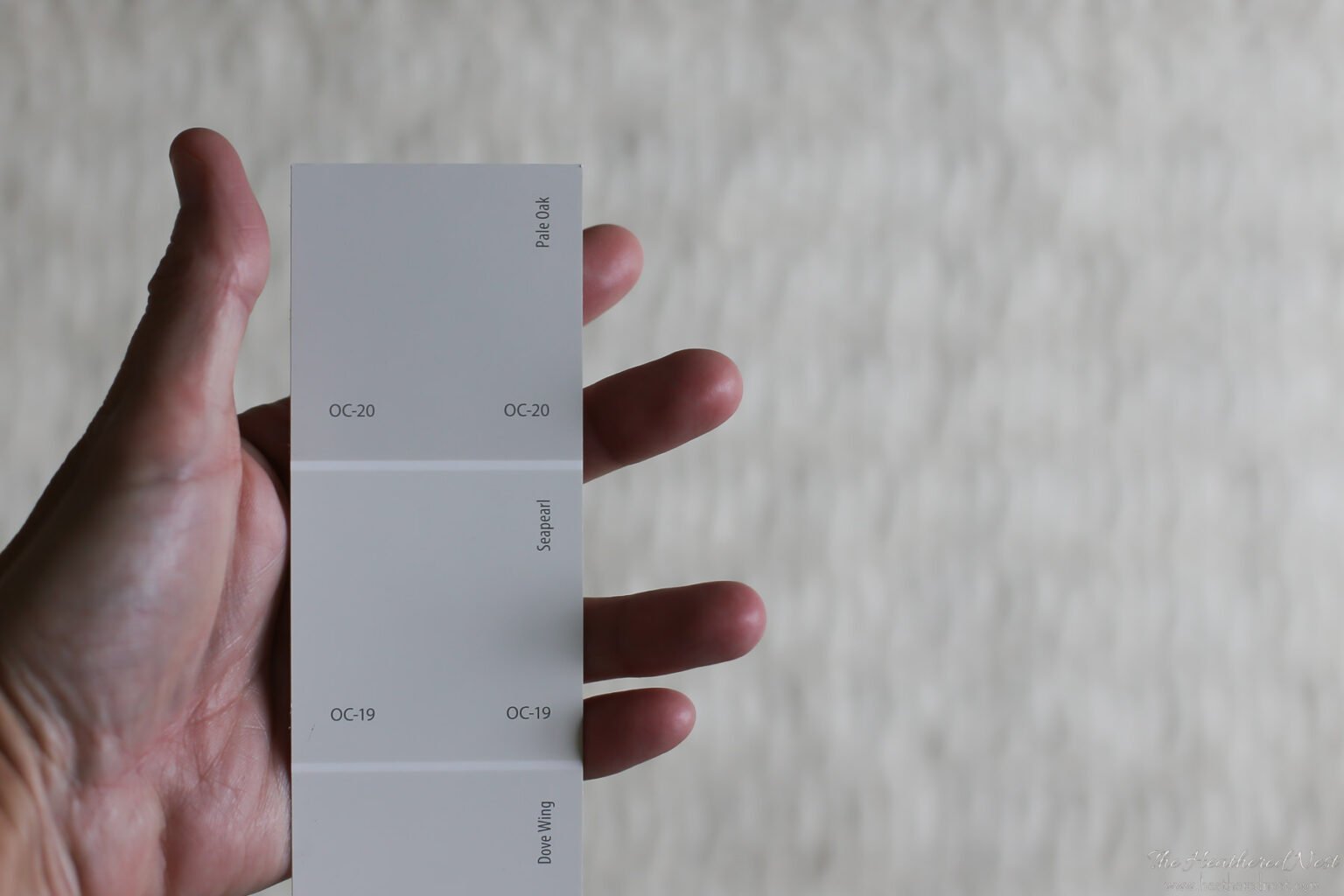 Benjamin Moore Pale Oak OC-20: ULTIMATE Review + Pictures!