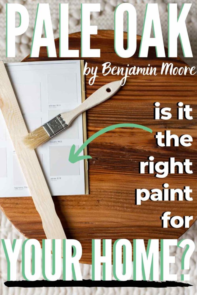 Benjamin Moore Pale Oak OC-20: ULTIMATE Review + Pictures!