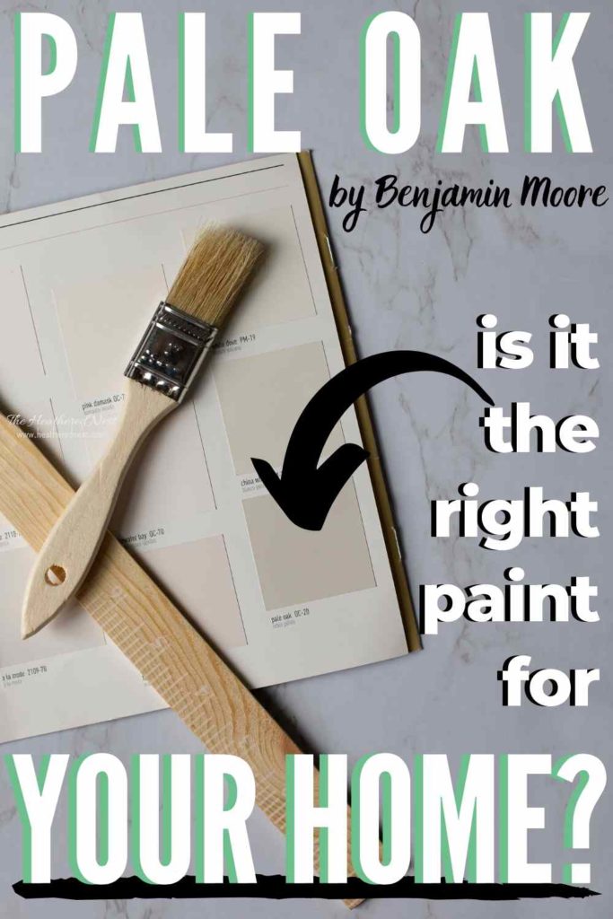Benjamin Moore Pale Oak OC-20: ULTIMATE Review + Pictures!