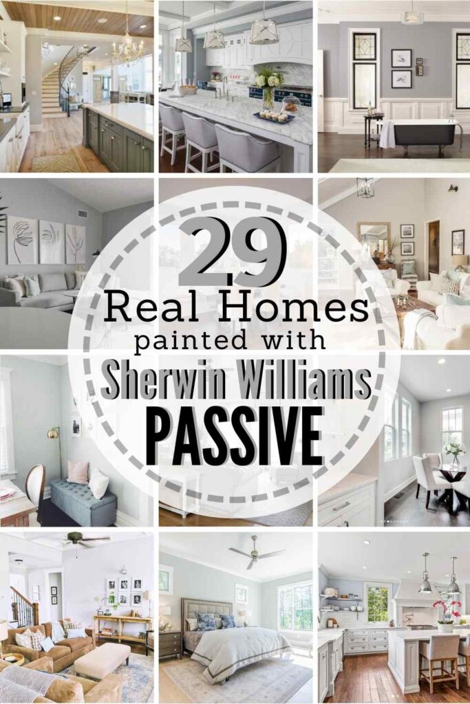 Sherwin Williams Passive SW 7064: ULTIMATE Review + Pictures!