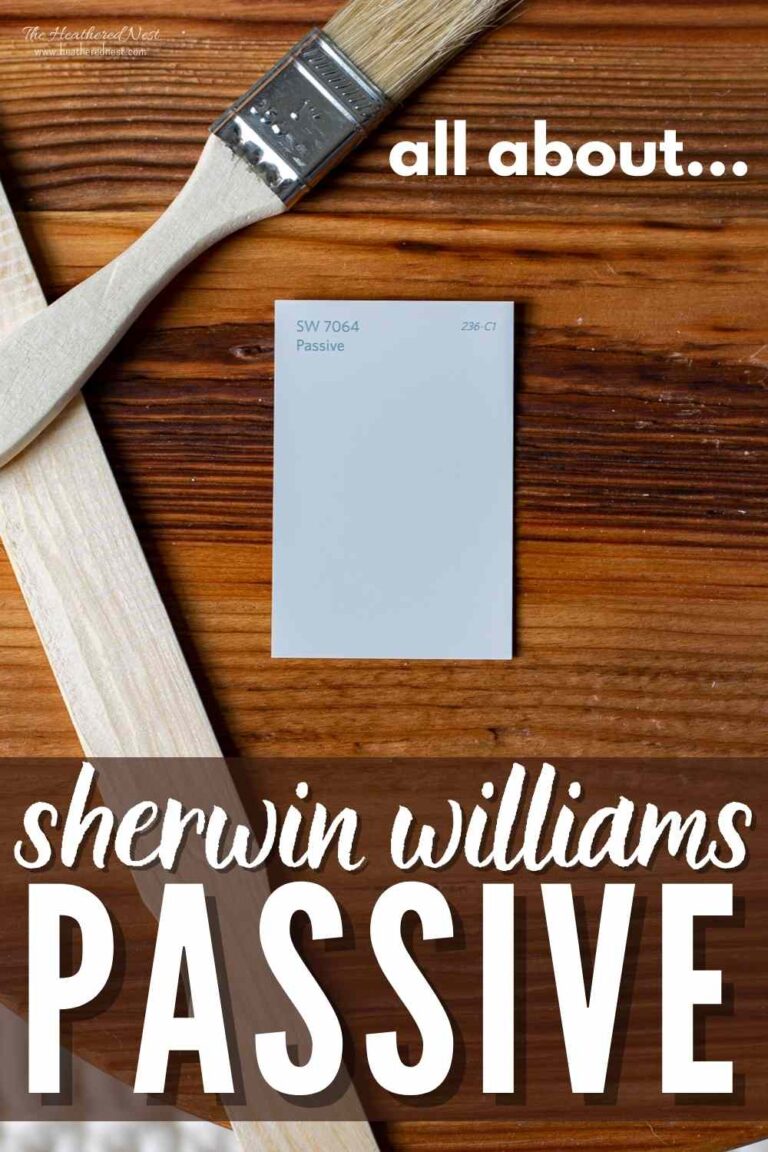Sherwin Williams Passive SW 7064: ULTIMATE Review + Pictures!