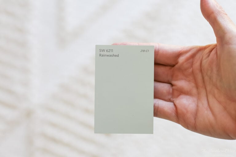 Sherwin Williams Rainwashed SW 6211: ULTIMATE Review + Pics!