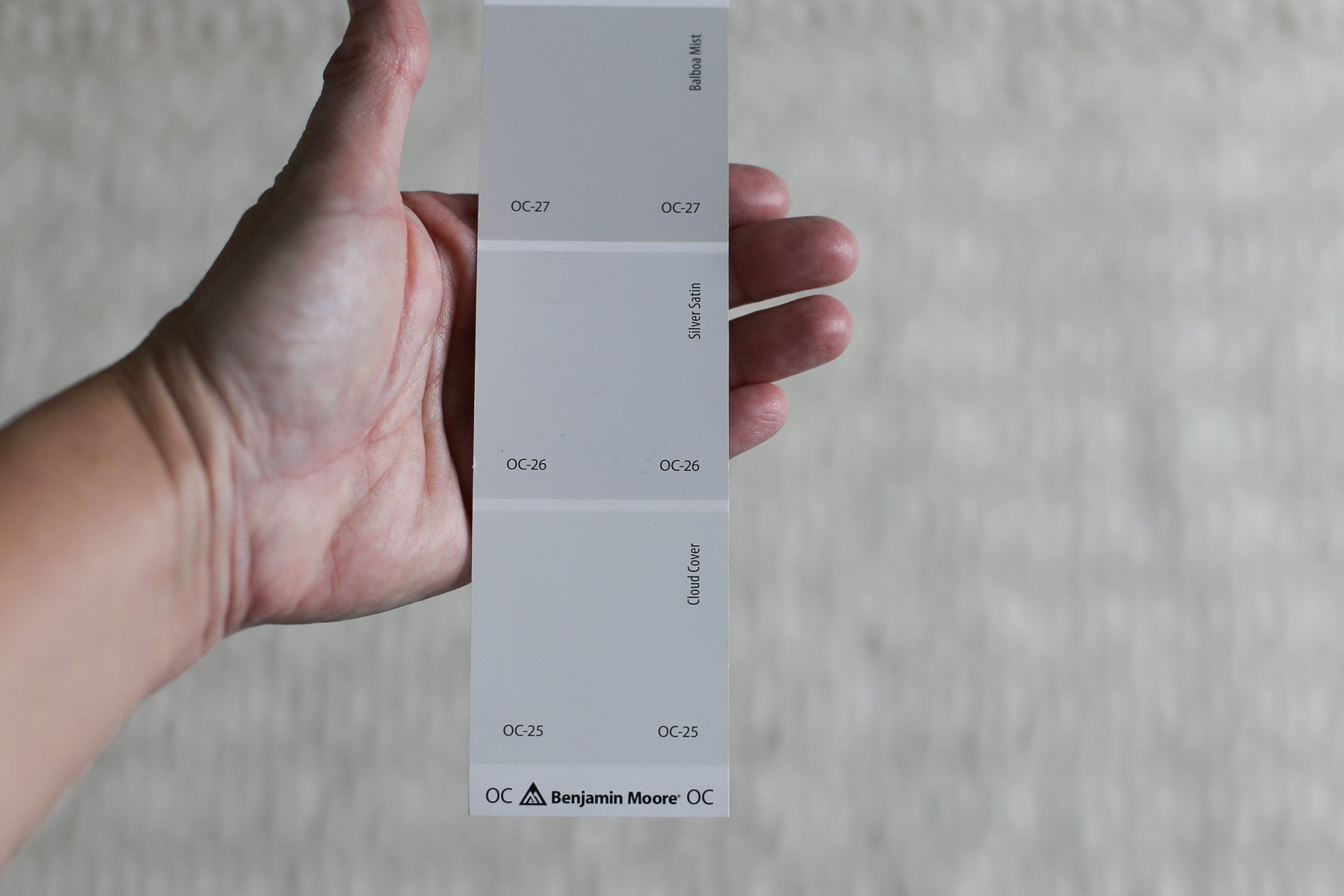 Benjamin Moore Silver Satin + 20 Real Life Homes That Use It