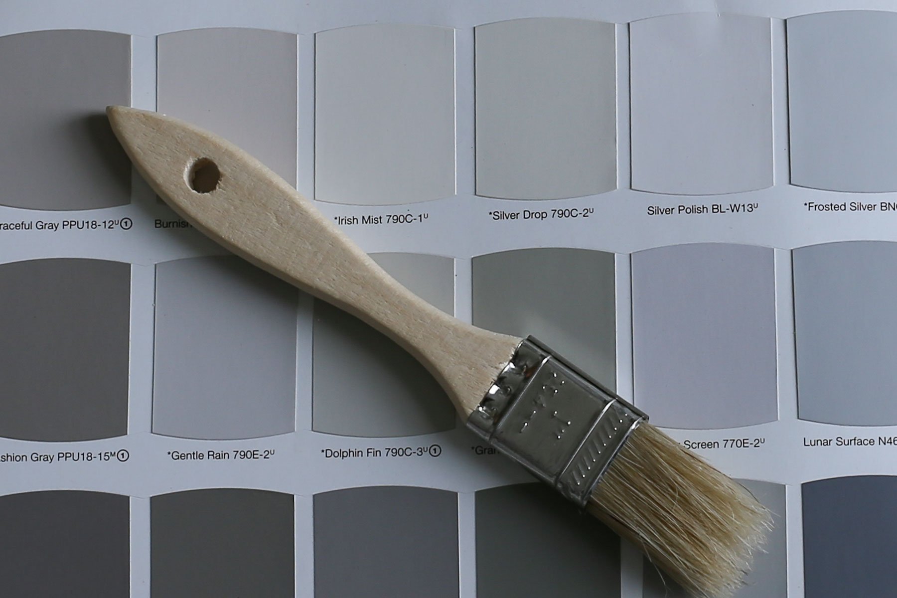 Behr Silver Drop 790C-2: ULTIMATE Review + 21 Helpful Pics!