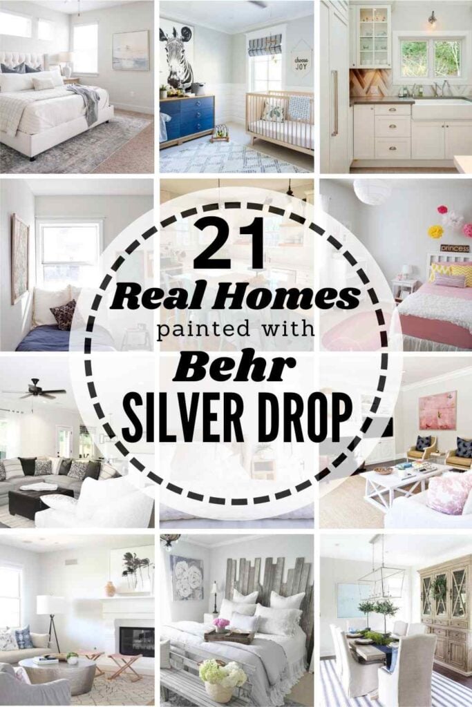 Behr Silver Drop 790C-2: ULTIMATE Review + 21 Helpful Pics!