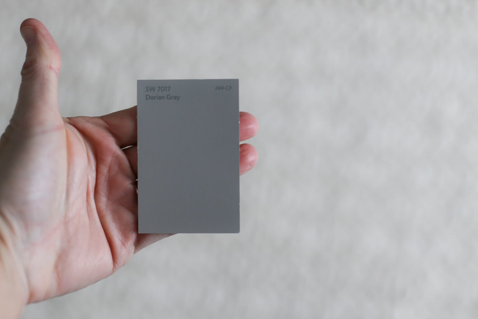 Sherwin Williams Dorian Gray SW 7017: ULTIMATE Review + Pics