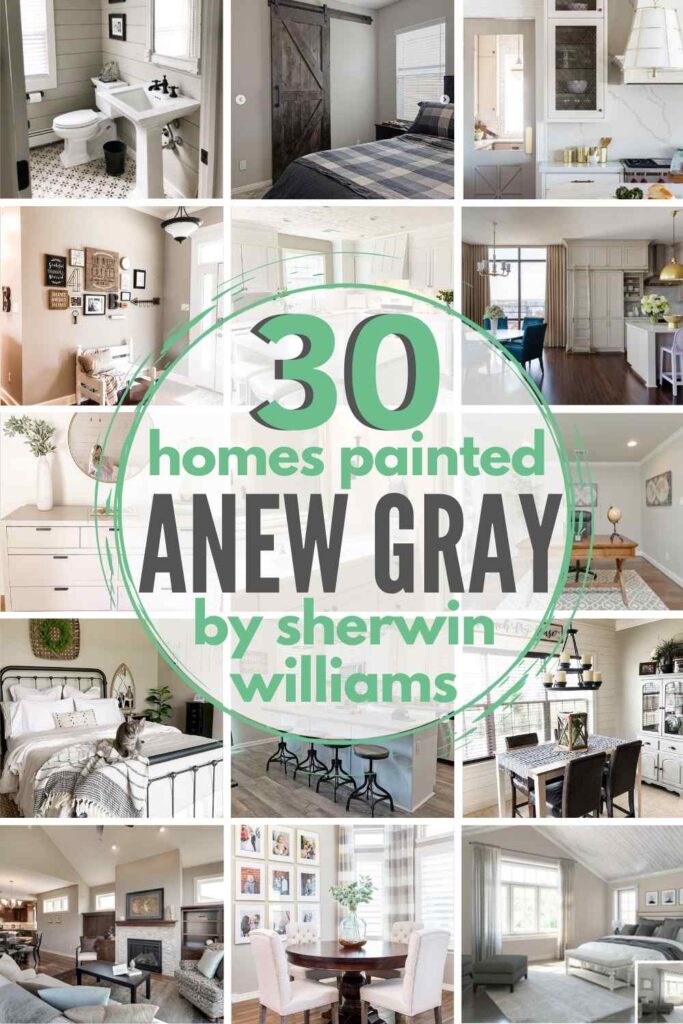 Sherwin Williams Anew Gray SW 7030: ULTIMATE Review + Pics!