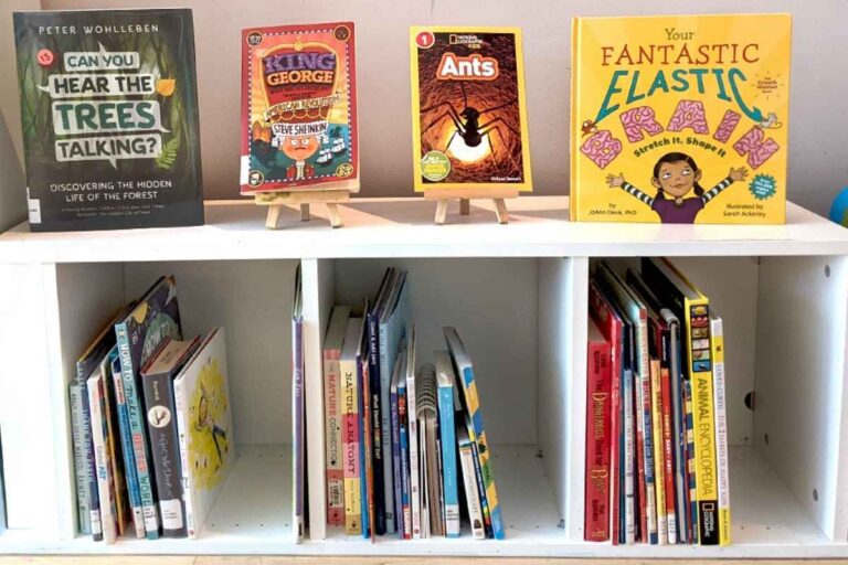 21 Brilliant Homeschool Room Ideas Parents Need - The Heathered Nest