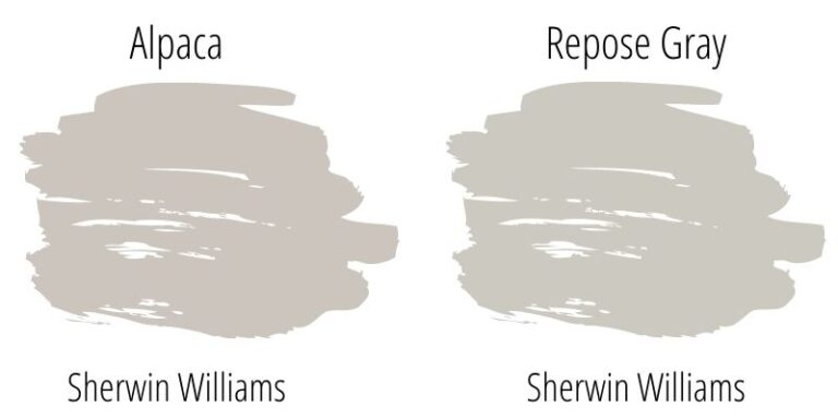 Sherwin Williams Alpaca SW 7022: ULTIMATE Review + Pictures!