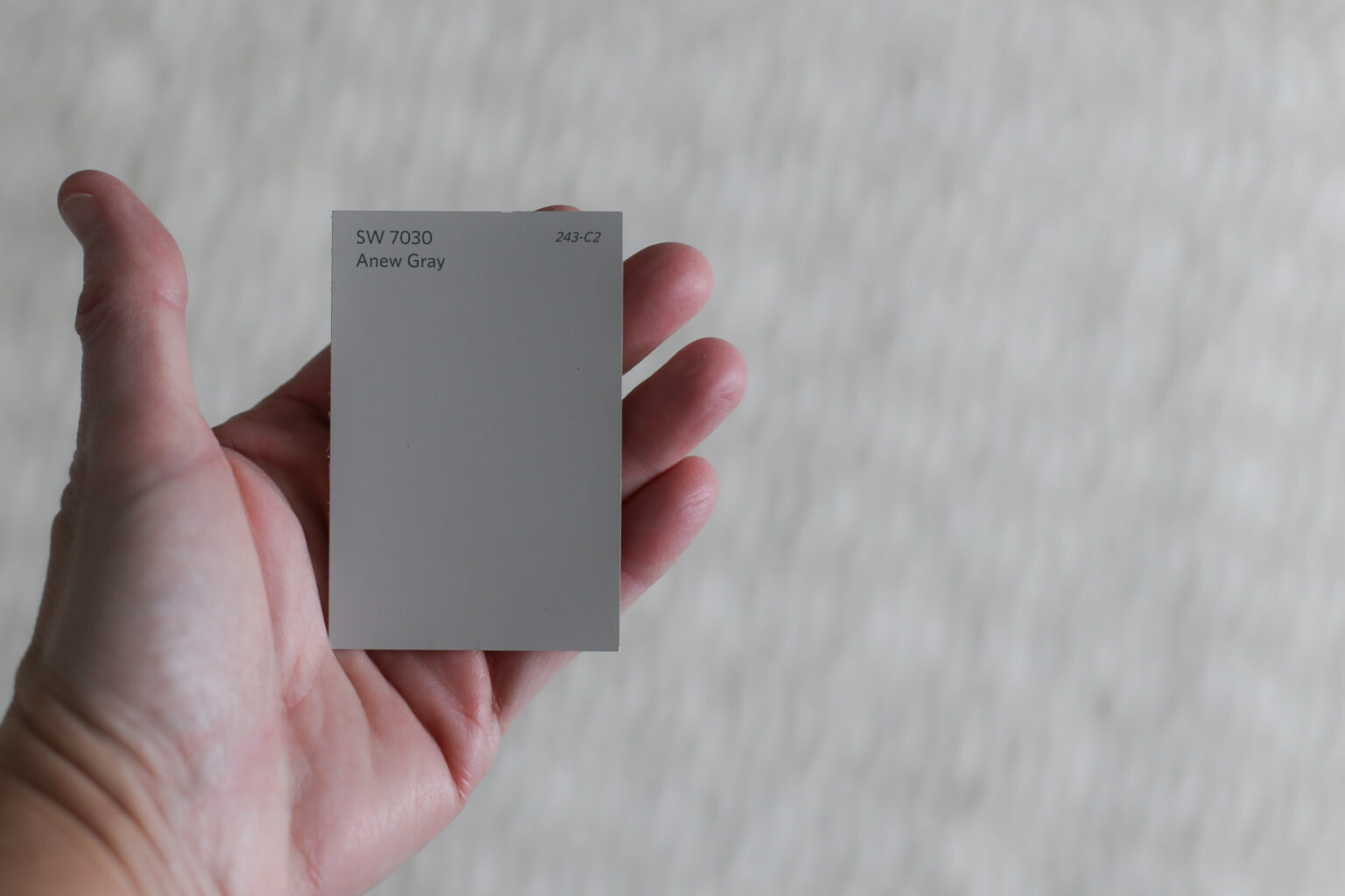 Sherwin Williams Anew Gray SW 7030: ULTIMATE Review + Pics!