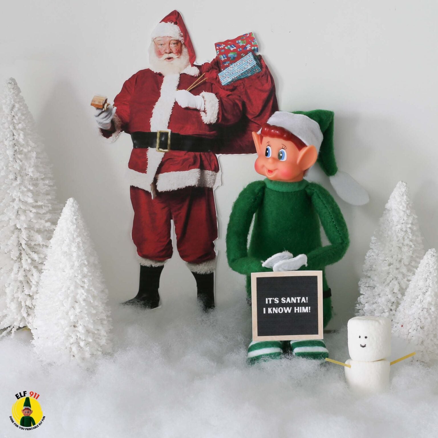Santa! I Know Him! Free Elf Printable - The Heathered Nest