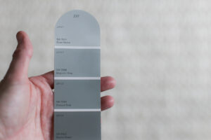 Sherwin Williams Silver Strand SW 7057: BEST Review + Pics!