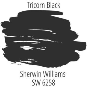Sherwin Williams Tricorn Black SW 6258: The ULTIMATE Review