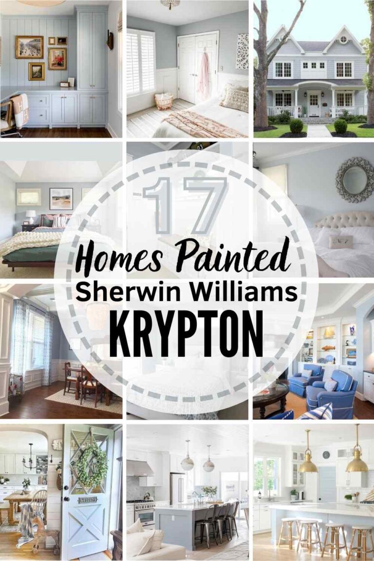 Sherwin Williams Krypton SW 6247 Color Study + 17 Real Pics!