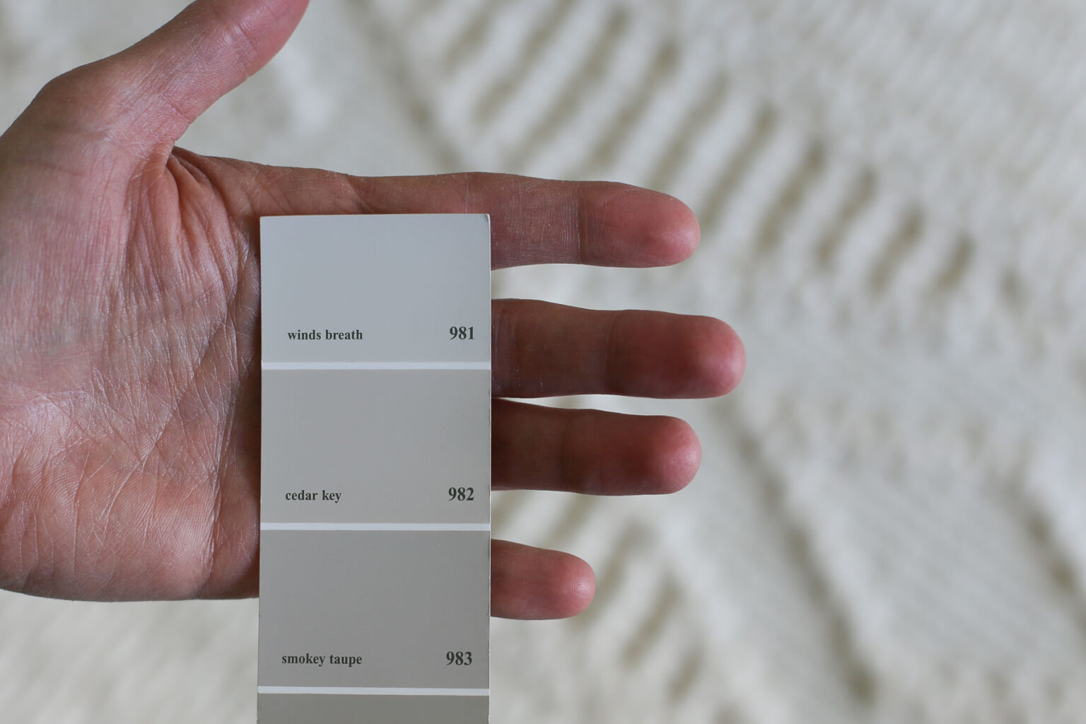 Benjamin Moore Wind's Breath (#OC-24): ULTIMATE Review + Pictures