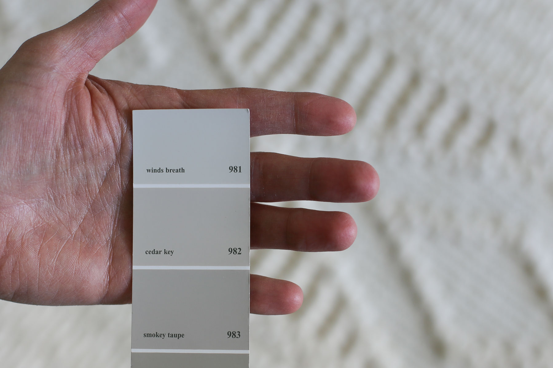 Benjamin Moore Wind's Breath (#OC-24): ULTIMATE Review + Pictures