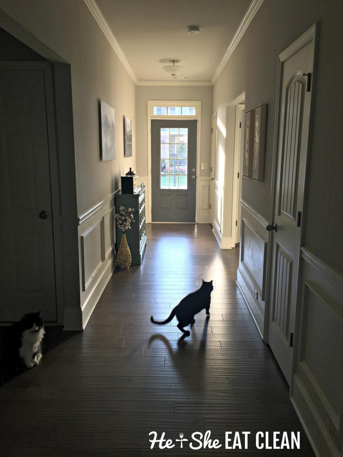 Sherwin Williams Gauntlet Gray (#SW 7019): ULTIMATE Review + Pictures