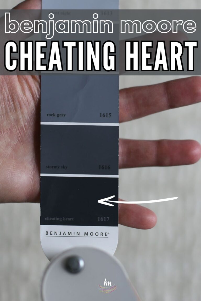 Benjamin Moore Cheating Heart (#1617): ULTIMATE Review + Pictures