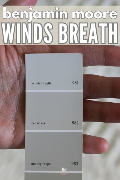 Benjamin Moore Wind's Breath (#OC-24): ULTIMATE Review + Pictures