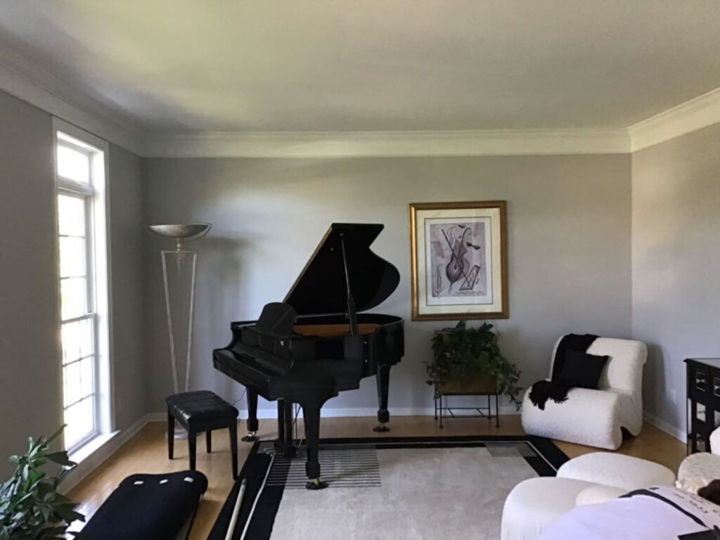 Sherwin Williams Big Chill (#SW 7648): ULTIMATE Review + Pictures