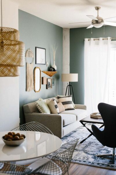 Sherwin Williams Retreat (#SW 6207): ULTIMATE Review + Pictures