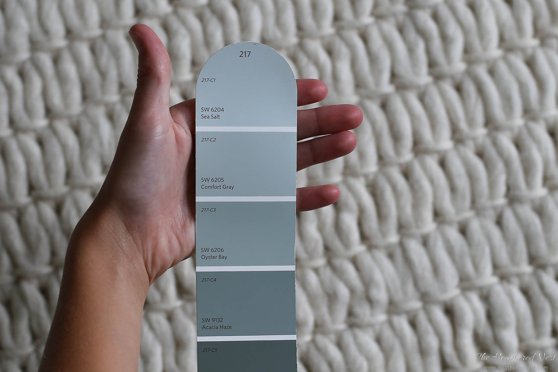 Sherwin Williams Comfort Gray 6205: ULTIMATE Review + Pics!
