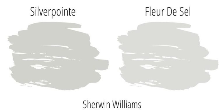 Sherwin Williams Silverpointe #SW 7653: ULTIMATE Review + Pictures