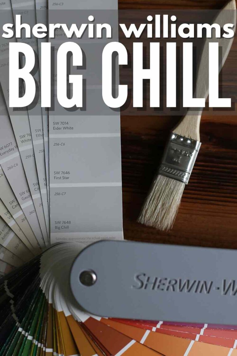 Sherwin Williams Big Chill (#SW 7648): ULTIMATE Review + Pictures