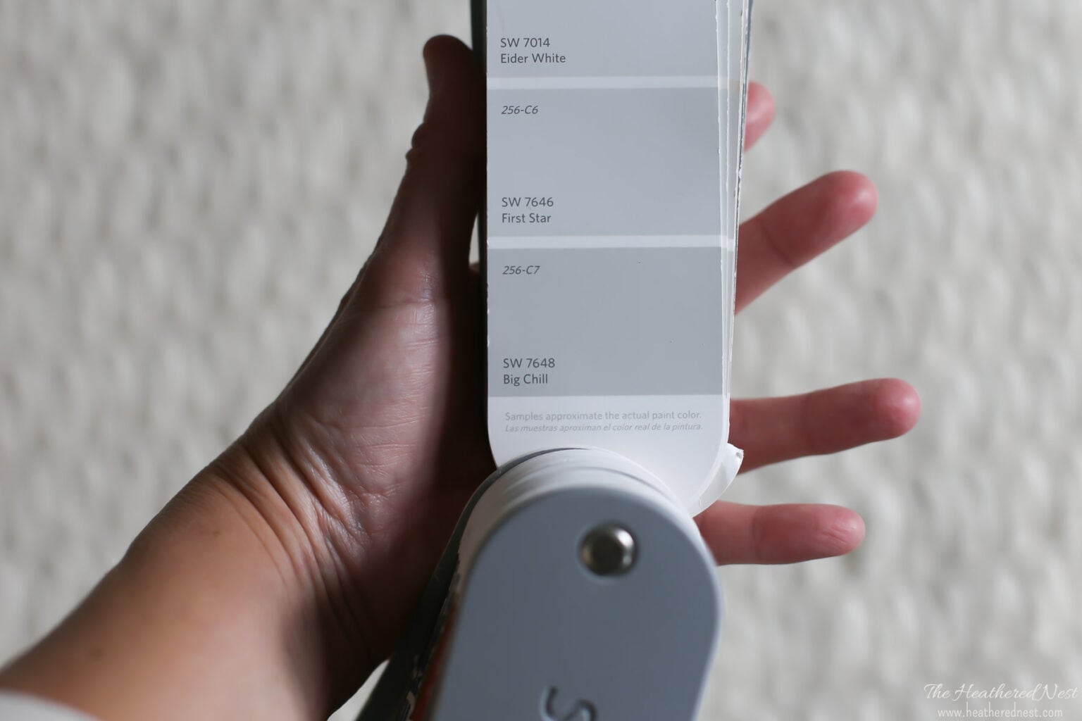 Sherwin Williams Big Chill (#SW 7648): ULTIMATE Review + Pictures