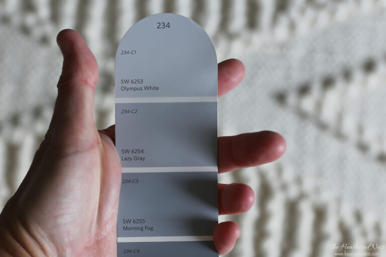 Sherwin Williams Lazy Gray (#SW 6254): ULTIMATE Review + Pictures