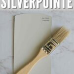 Sherwin Williams Silverpointe (#SW 7653): ULTIMATE Review + Pictures