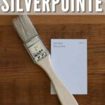 Sherwin Williams Silverpointe (#SW 7653): ULTIMATE Review + Pictures