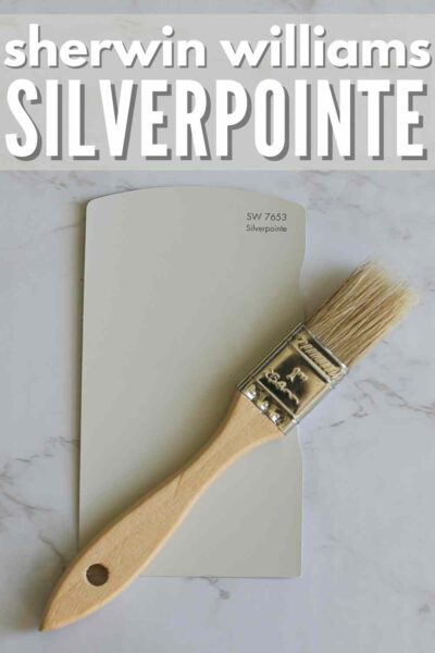 Sherwin Williams Silverpointe (#SW 7653): ULTIMATE Review + Pictures