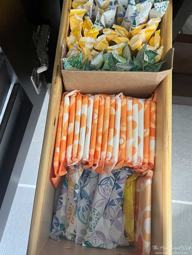 29 Unbelievably Useful Camper and RV Storage Ideas