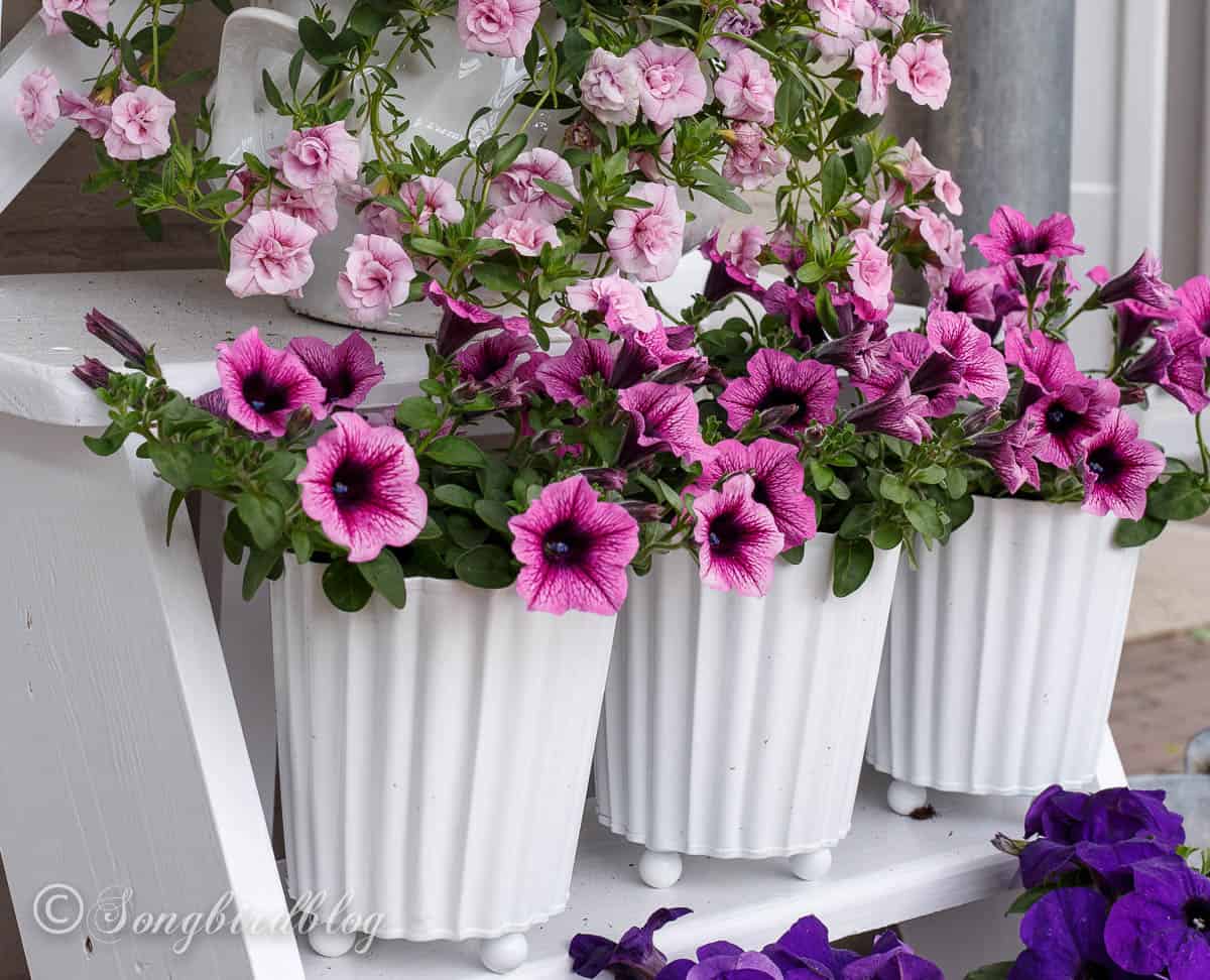 21 BEST DIY Plant Stand Ideas To Liven Up Your Home!