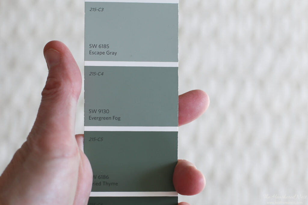 Your BEST Green? SW Evergreen Fog 9130 Color Review