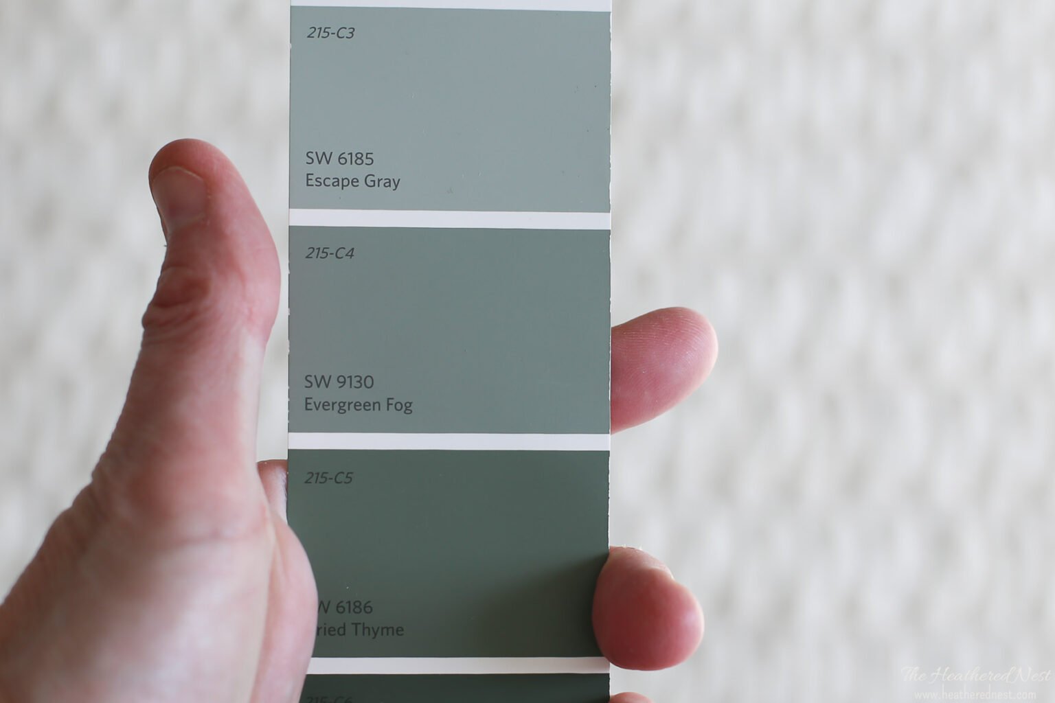 Your BEST Green? SW Evergreen Fog 9130 Color Review