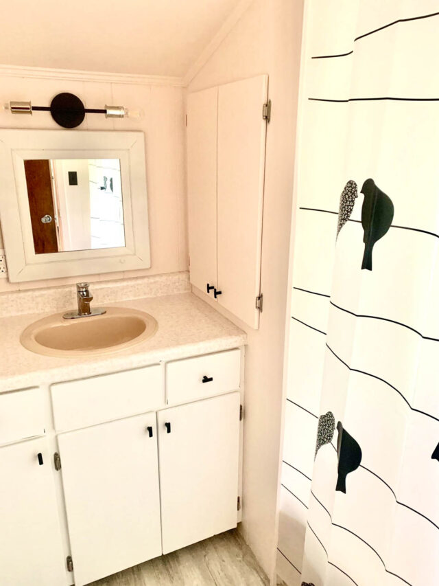 Benjamin Moore First Light (2102-70): ULTIMATE Review + Pictures