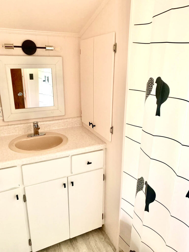 Benjamin Moore First Light (2102-70): ULTIMATE Review + Pictures