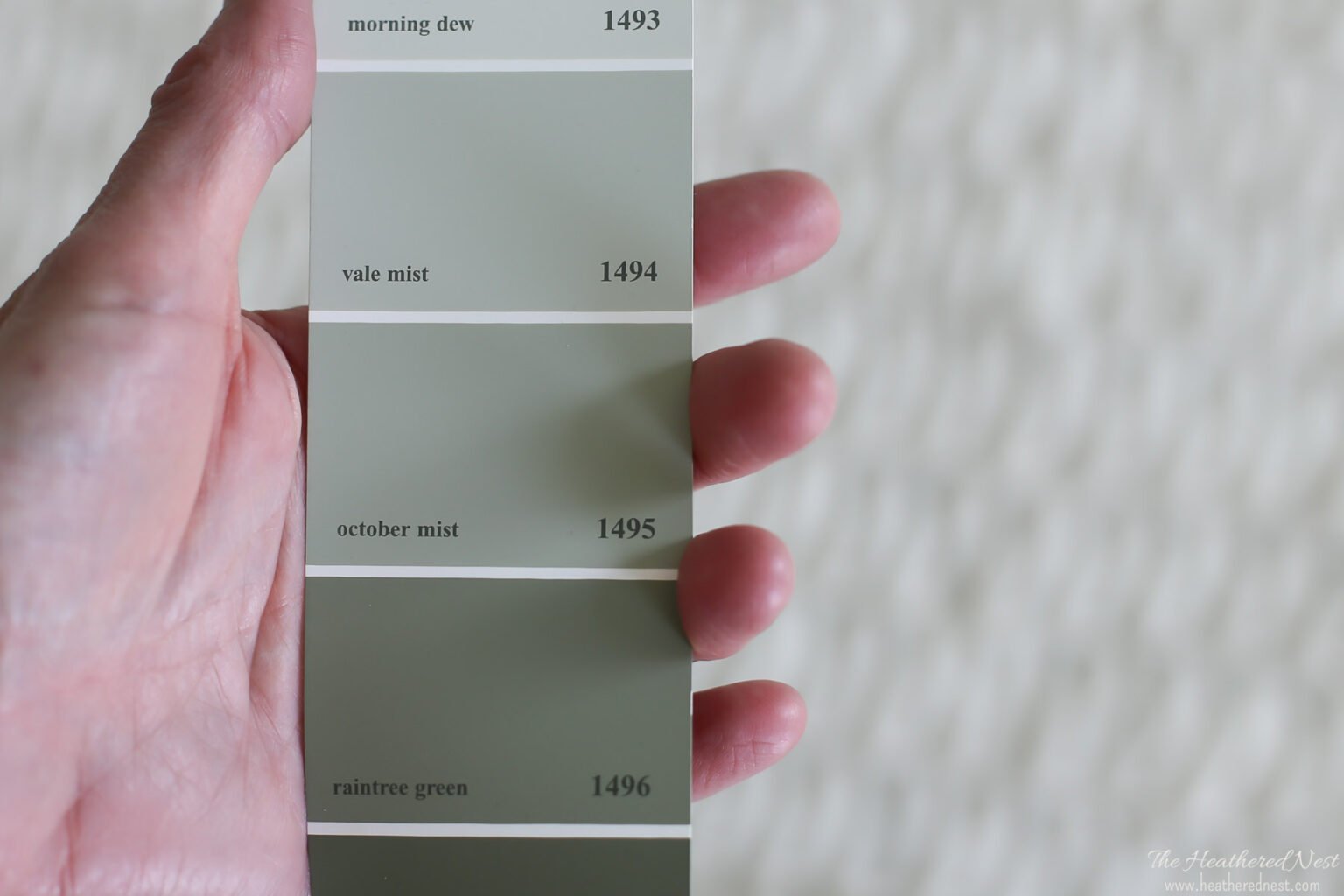 Benjamin Moore October Mist 1495: BEST Review + Pics