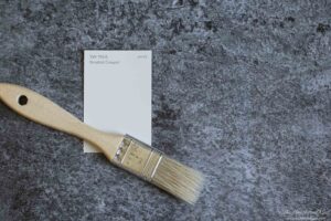 Neutral Ground SW 7568 ULTIMATE Paint Review + Pics!