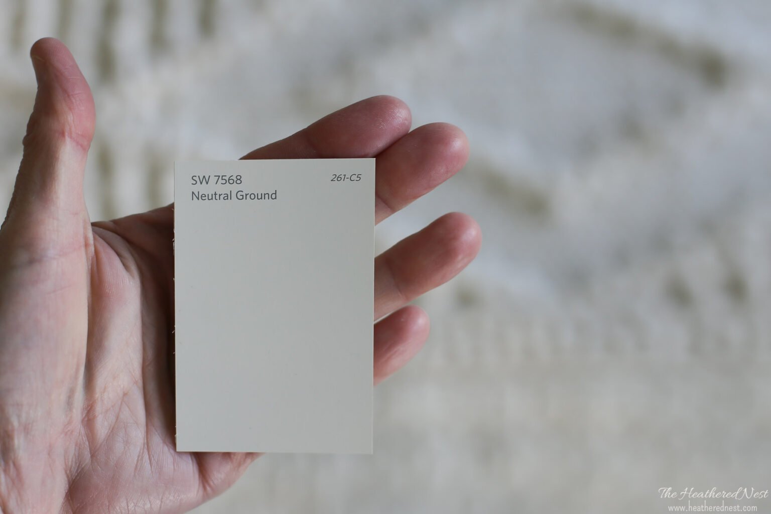 Neutral Ground SW 7568 ULTIMATE Paint Review + Pics!