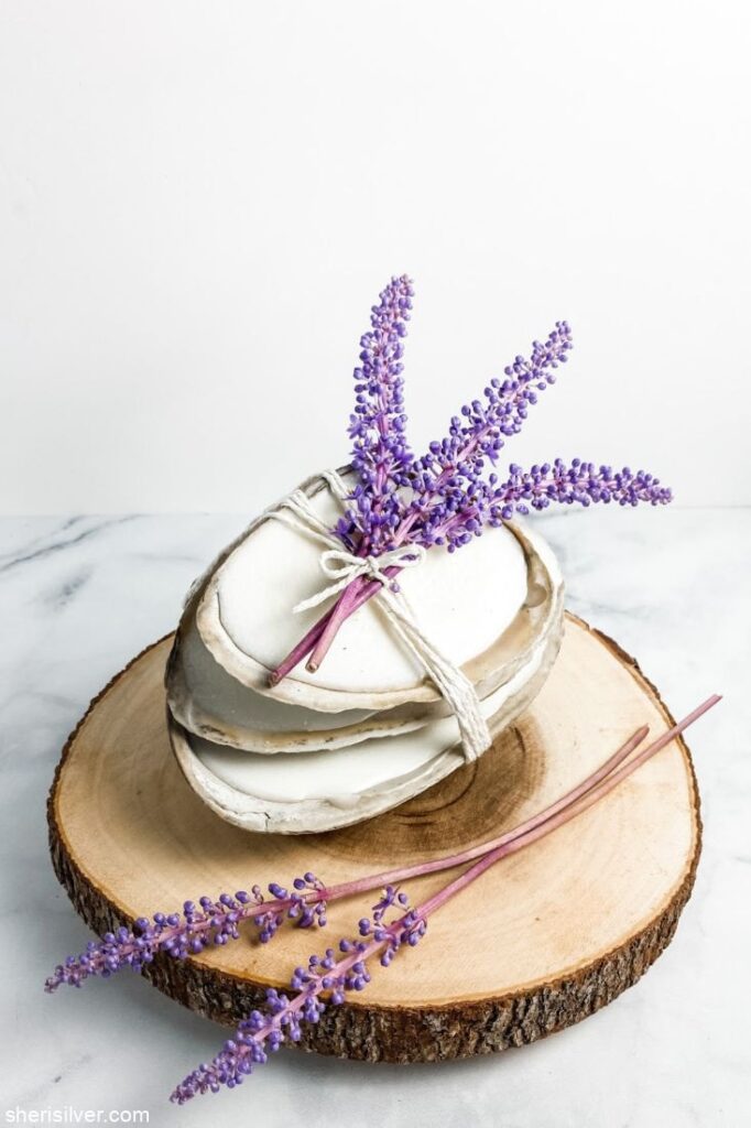 25 Creative, Coastal DIY Seashell Craft Ideas to Make!