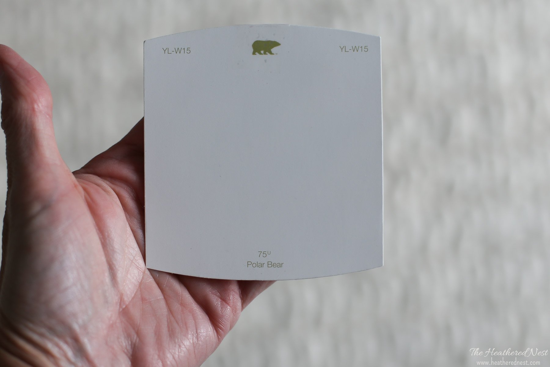 Behr Polar Bear 75: ULTIMATE Paint Color Review