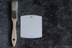 Behr Polar Bear 75: ULTIMATE Paint Color Review