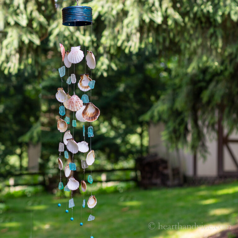 25 Creative, Coastal DIY Seashell Craft Ideas to Make!
